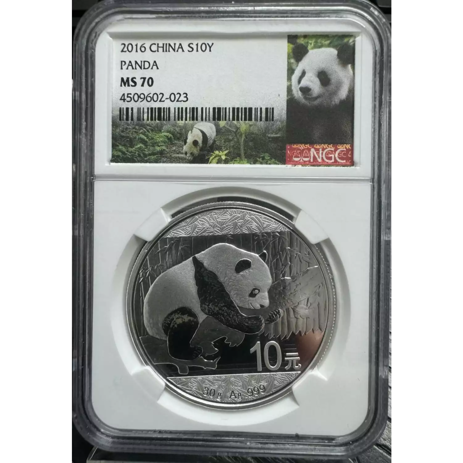 2016 China S10Y Panda NGC MS-70 - IDC COIN & BULLION