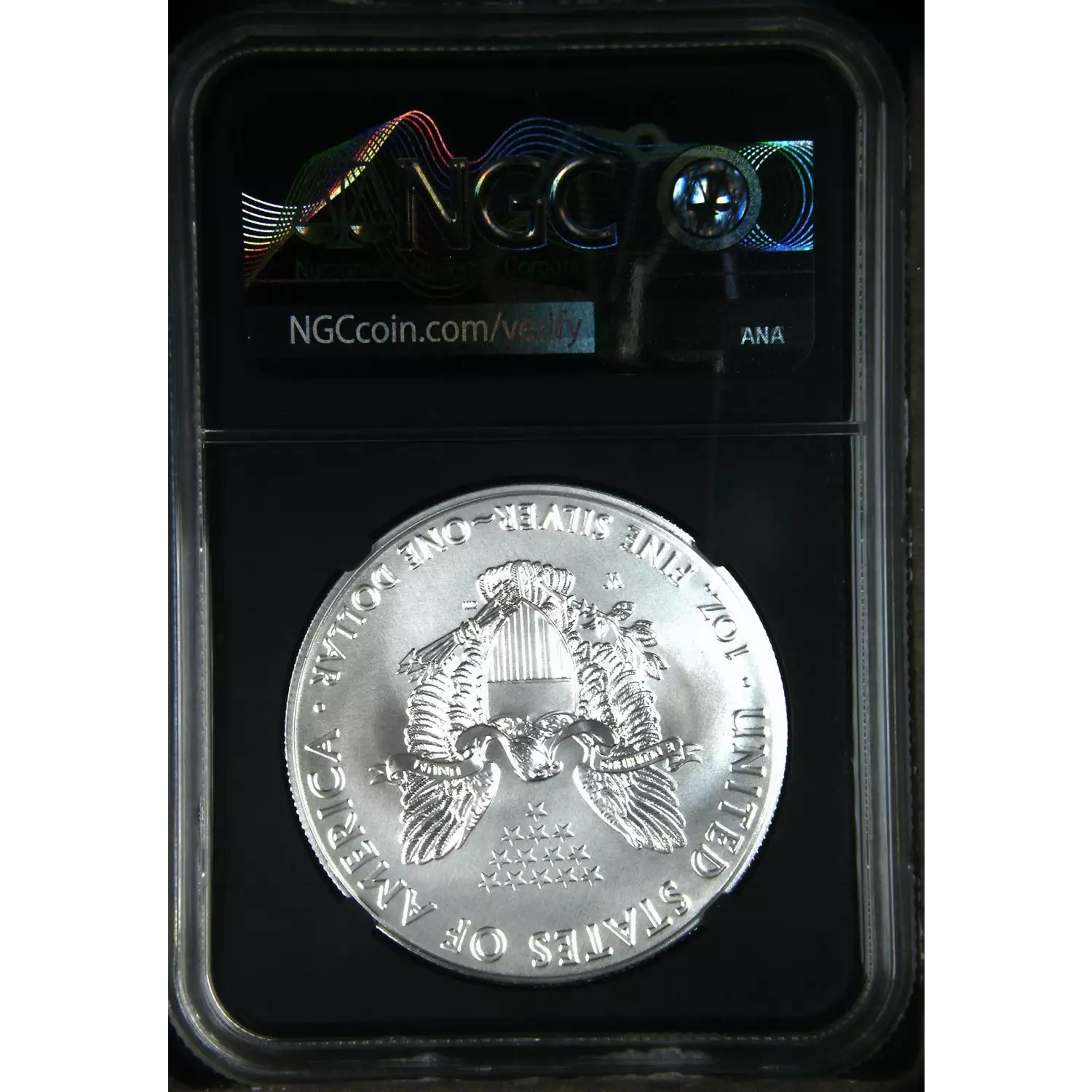 2020-W American Silver Eagle NGC MS-69 Burnished - IDC COIN & BULLION
